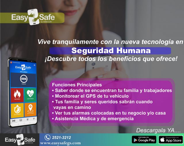 Gráficas - Easy Safe - SoftGuard